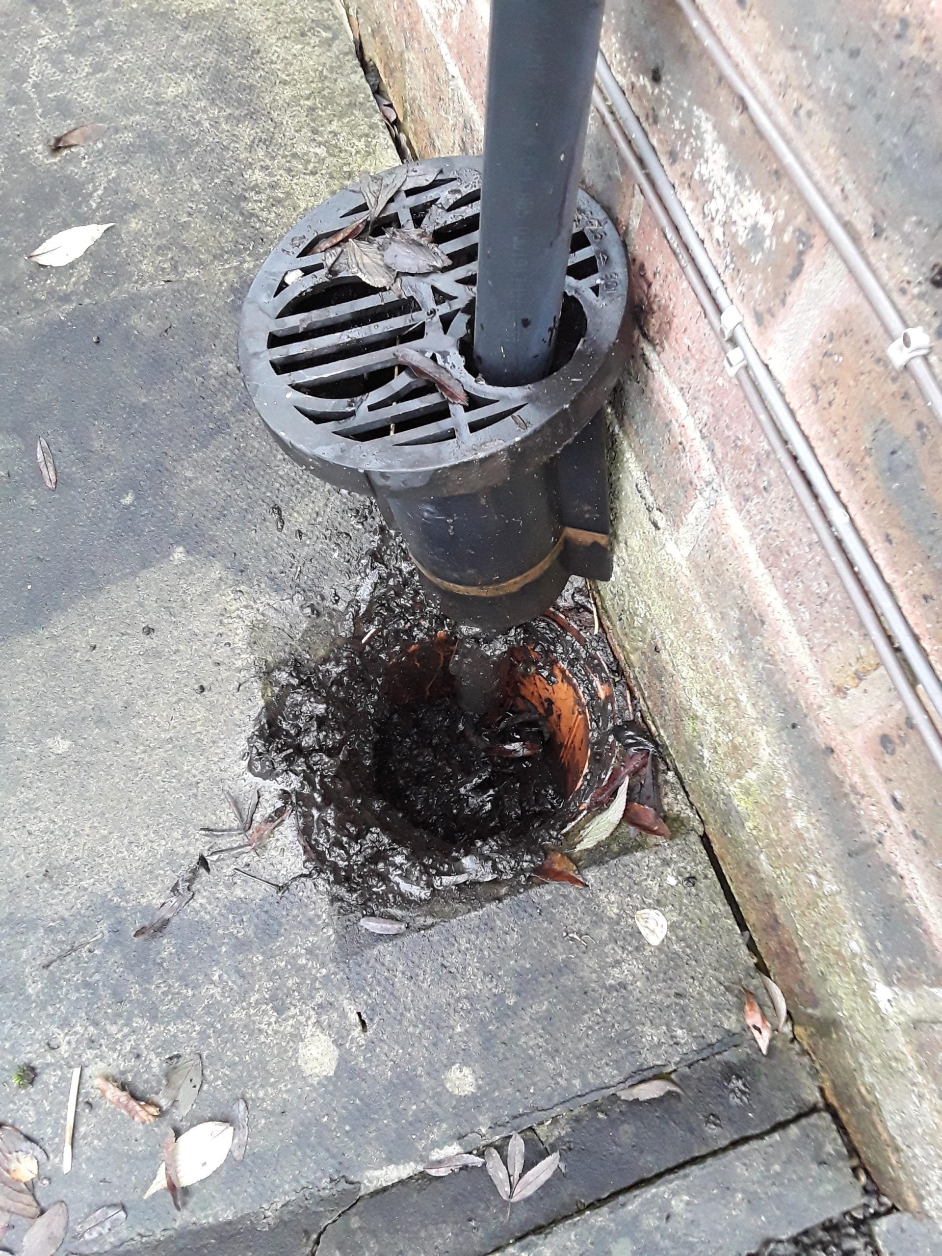 Cleaning Out Drains | atelier-yuwa.ciao.jp